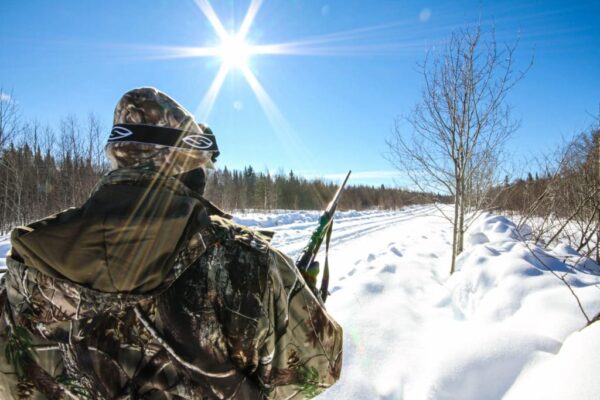 Ontario Wolf Hunting » Outdoors International