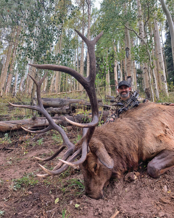 High Fence Elk Hunting Estates » 5-Star Hunting Lodges
