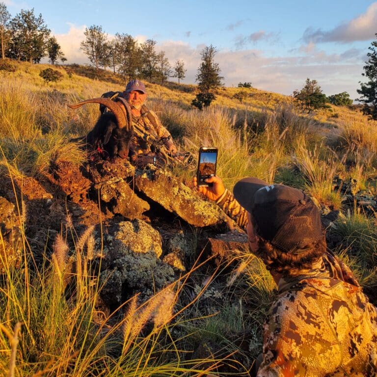 Hunting in Hawaii » Outdoors International