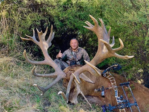 How much is a Red Stag Hunt in New Zealand?