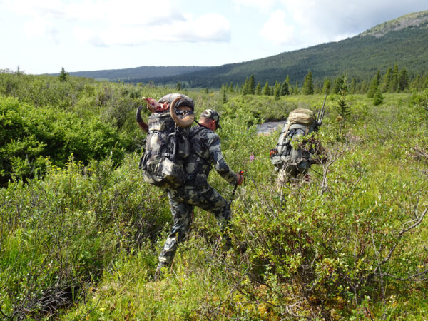 North American Sheep Slam » Outdoors International