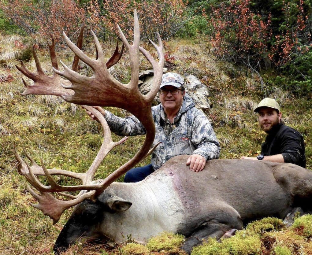 Yukon Caribou Hunting Trips » Premier Outfitters ⭐⭐⭐⭐⭐