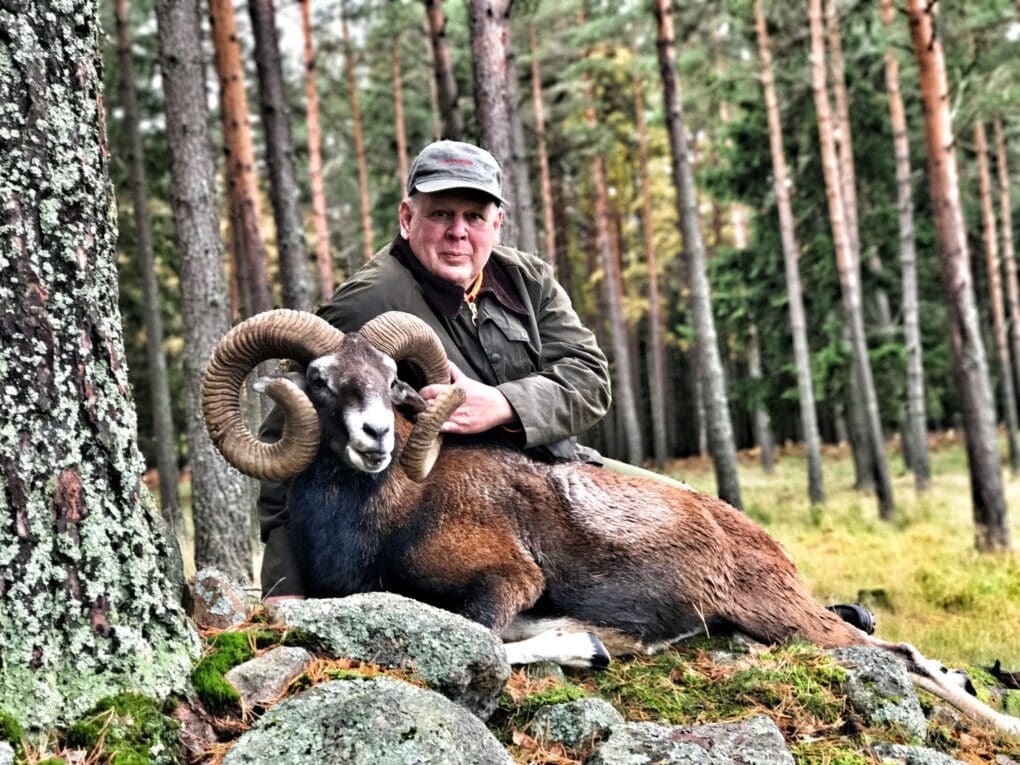 Hunting Sweden and Scotland: Red Stag and Roebuck Combo
