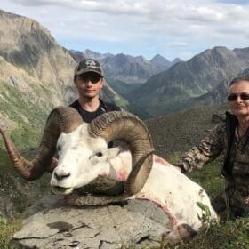 OVIS World Slam – Wild Sheep of the World