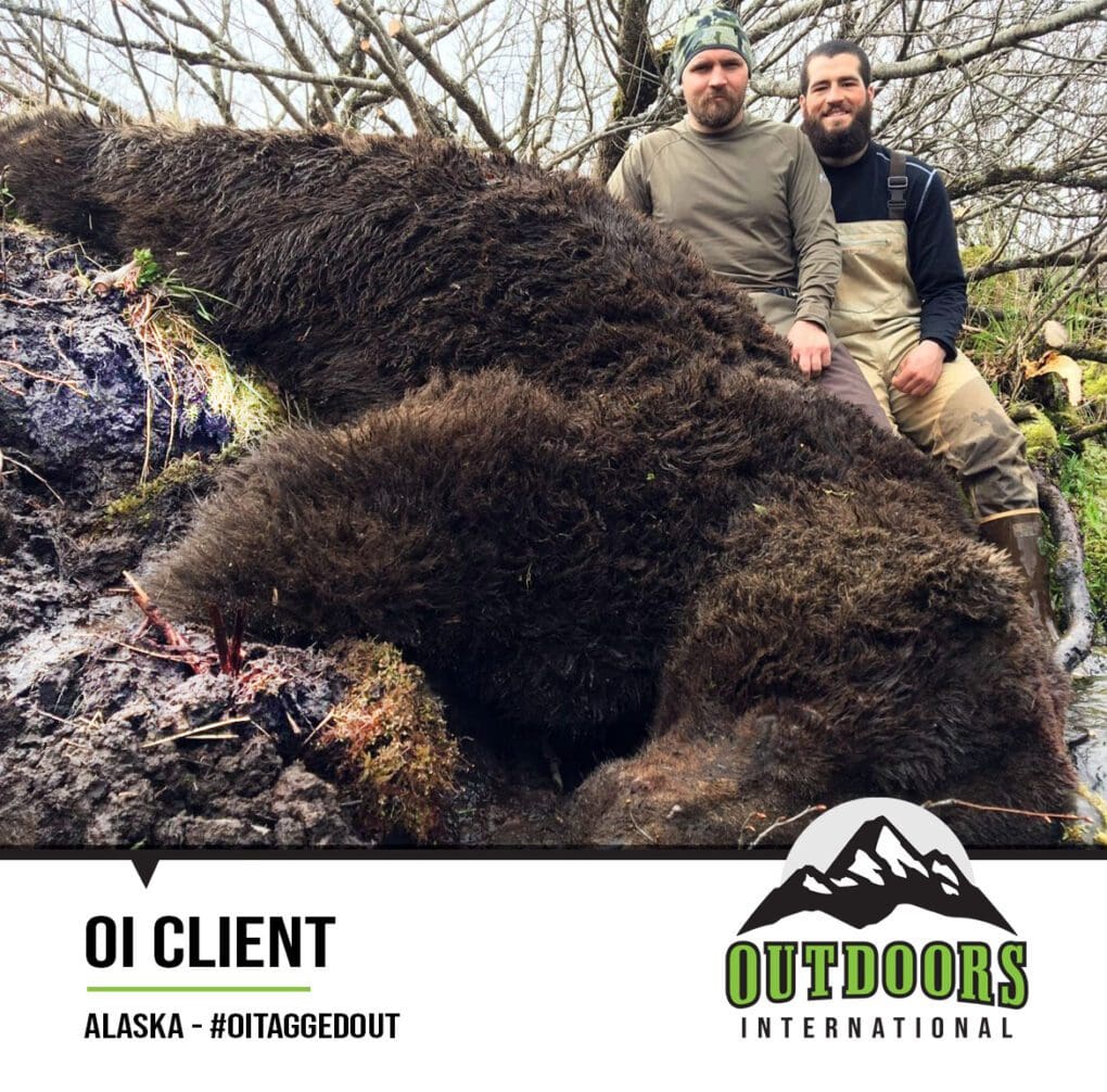 Brown Bear Hunting Guides and Outfitters ⭐⭐⭐⭐⭐