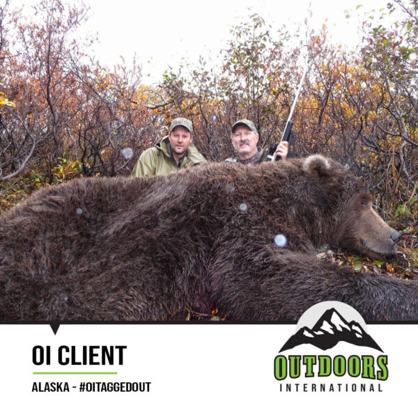 Brown Bear Hunting Guides and Outfitters ⭐⭐⭐⭐⭐