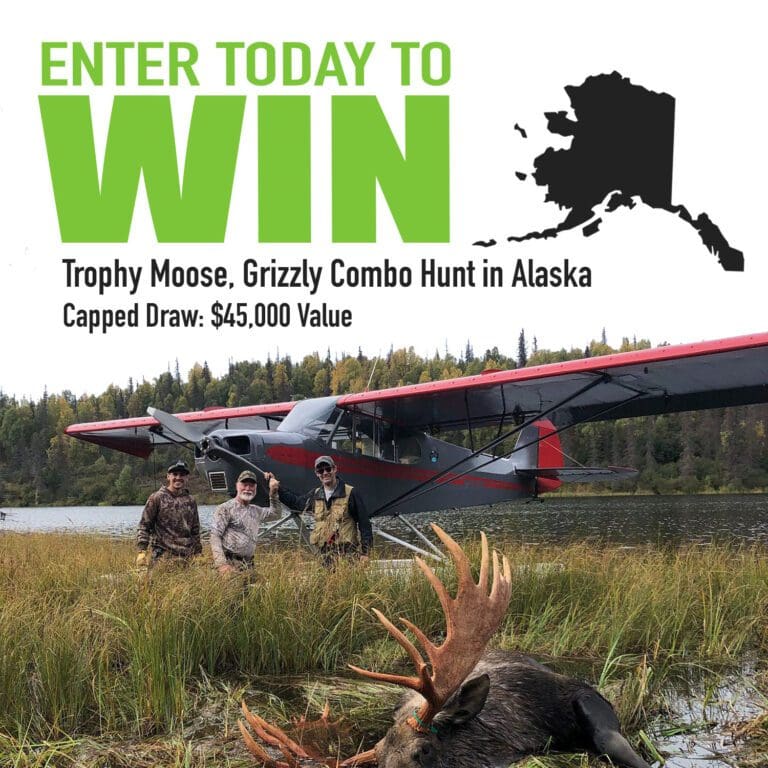 How to Field Judge a Moose » Outdoors International