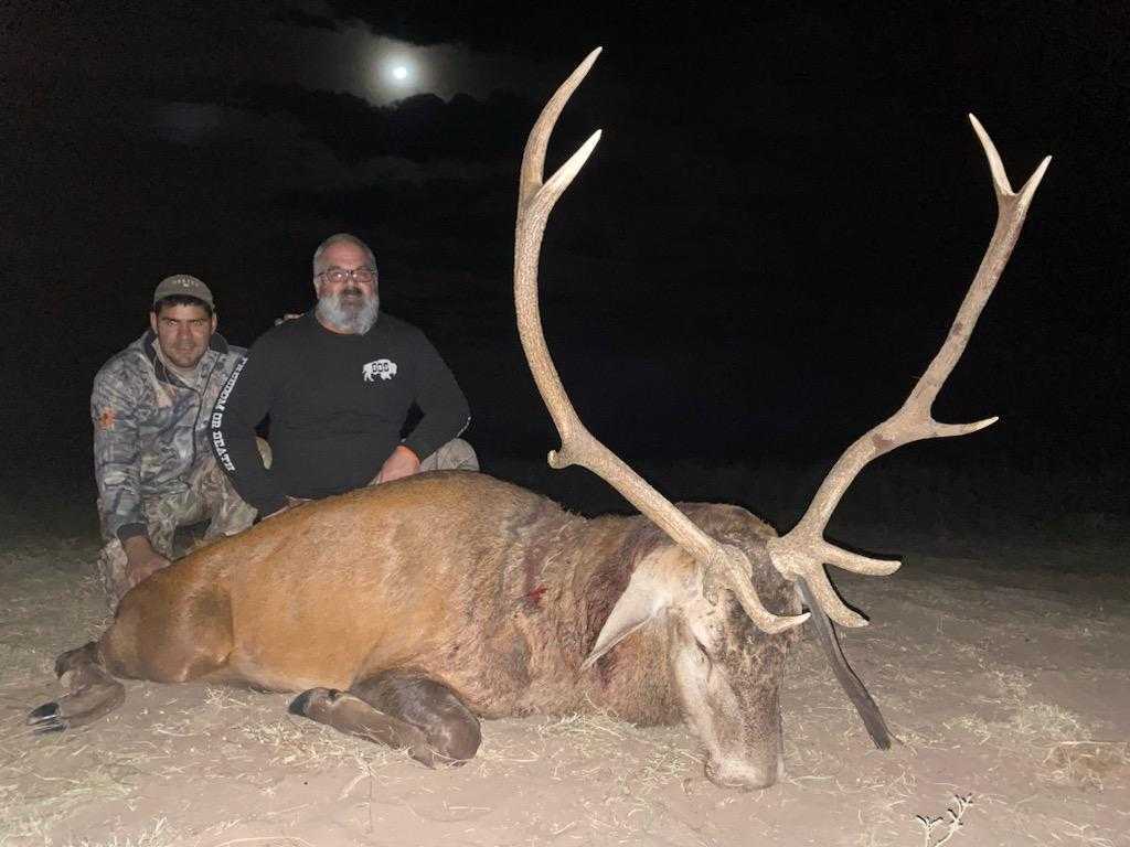 Red Stag Hunting Guides and Outfitters ⭐⭐⭐⭐⭐