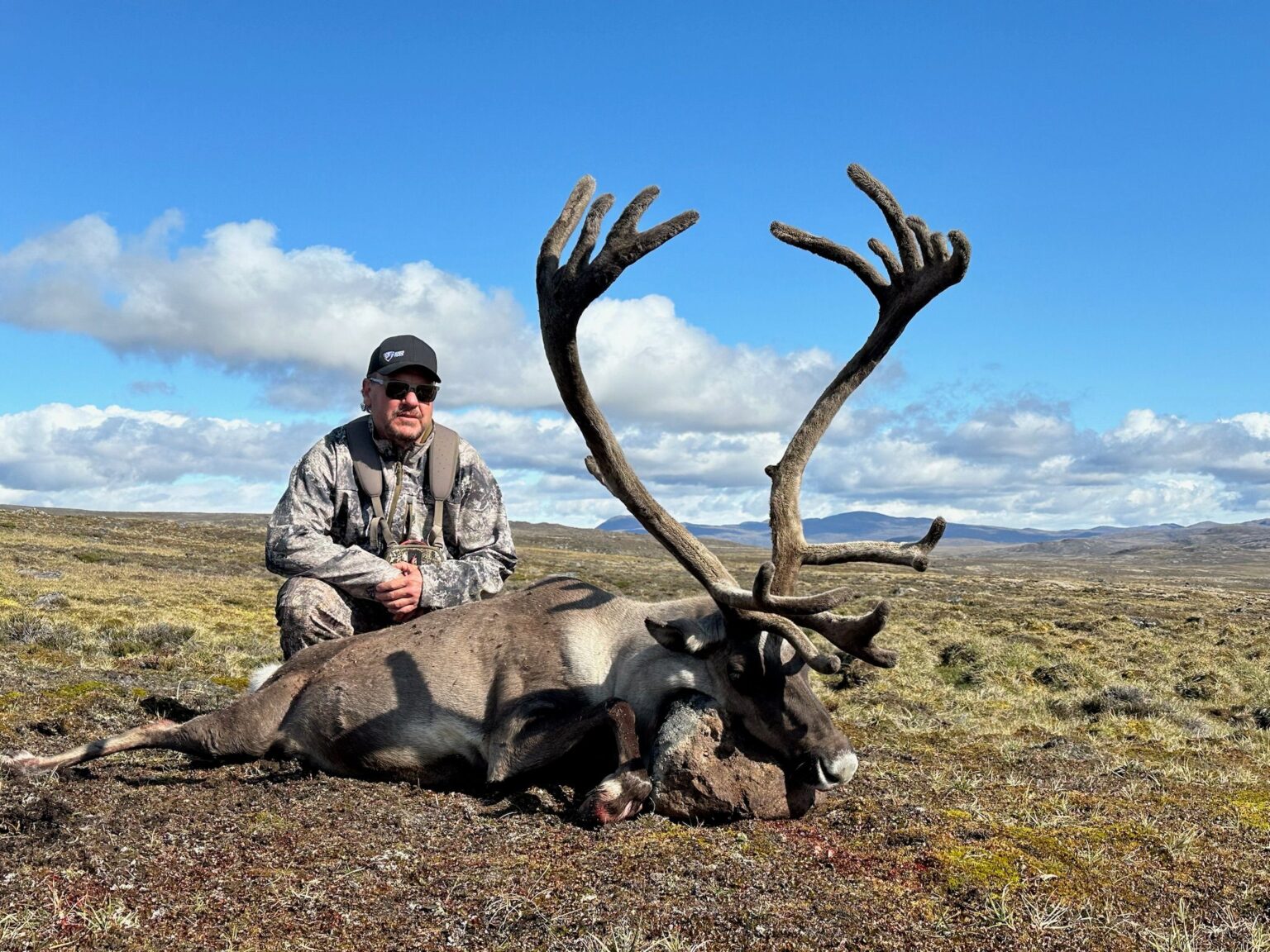 Greenland Caribou Hunting Trips » Outdoors International