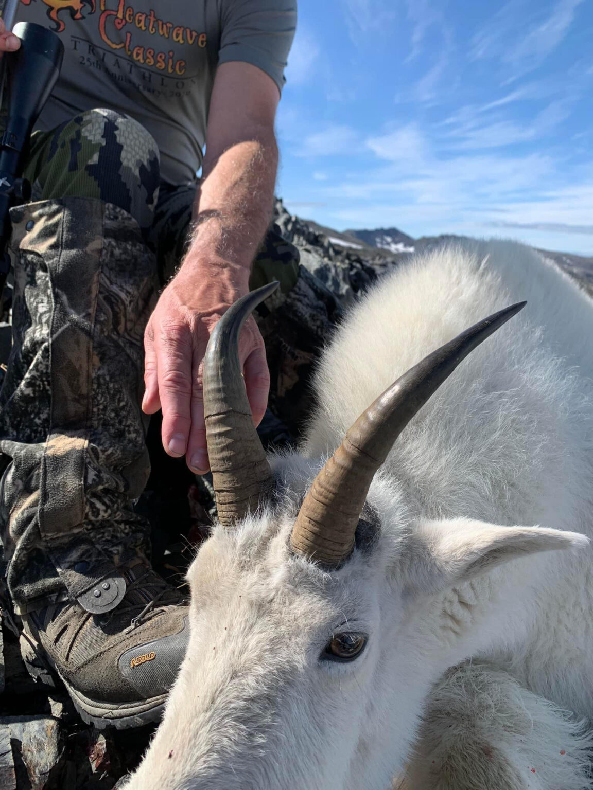 Montana Mountain Goat Hunting Trips » Premier Outfitters