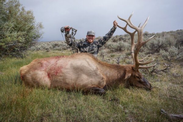 Montana Elk Hunting Trips » Premier Outfitters