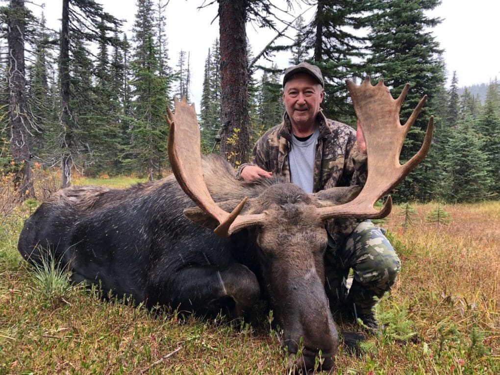 Montana Moose Hunting Trips » Premier Outfitters