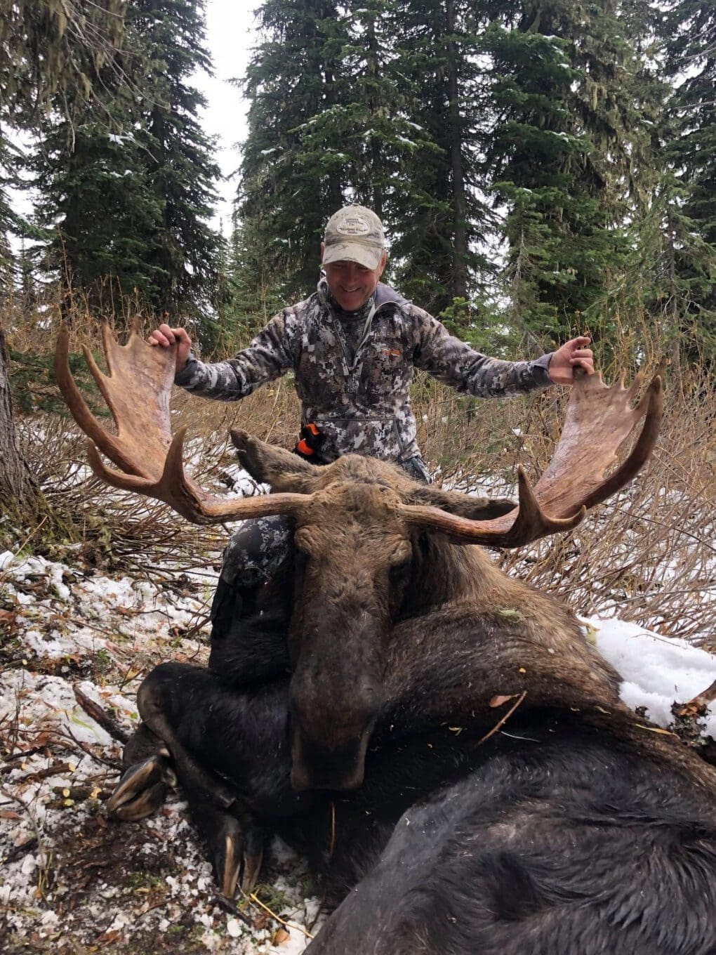 Montana Moose Hunting Trips » Premier Outfitters