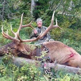Field Judging Bull Elk » Outdoors International