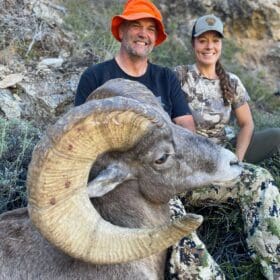 OVIS World Slam – Wild Sheep of the World