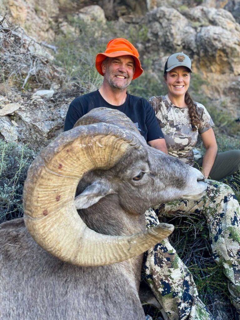 Wyoming Sheep Hunting Trips » Outdoors International