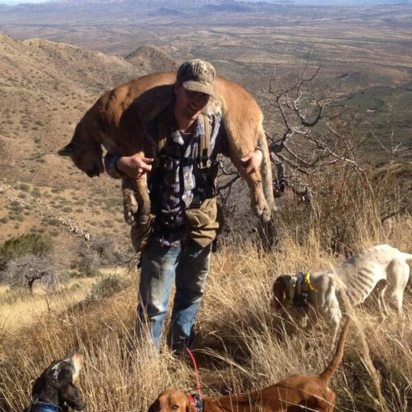 Mountain Lion Hunting Guides » Outdoors International