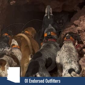 Unit 22 Arizona Hunting – Draw Strategy & Guided Hunts