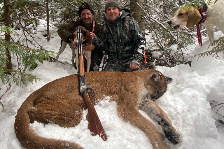 Montana Mountain Lion Hunting Trips » Outdoors International