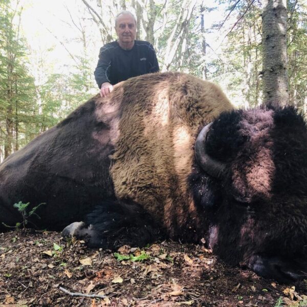 Travis Mickelson: South Dakota Bison Hunt Report