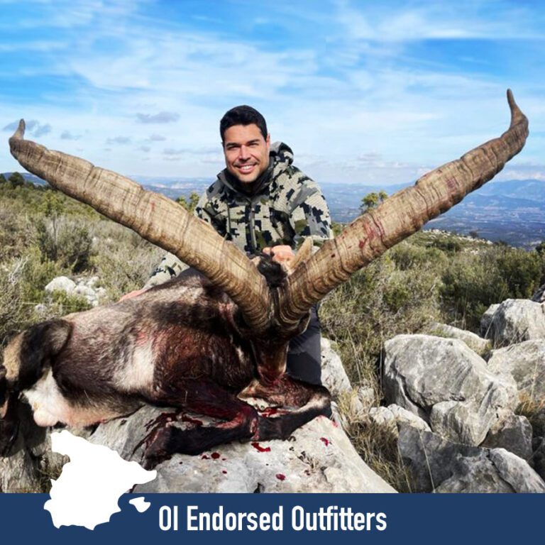 Spanish Ibex Hunting in Spain | All 4 Subspecies Available