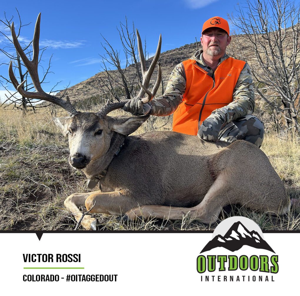 Mule Deer Hunting Guides and Outfitters ⭐⭐⭐⭐⭐