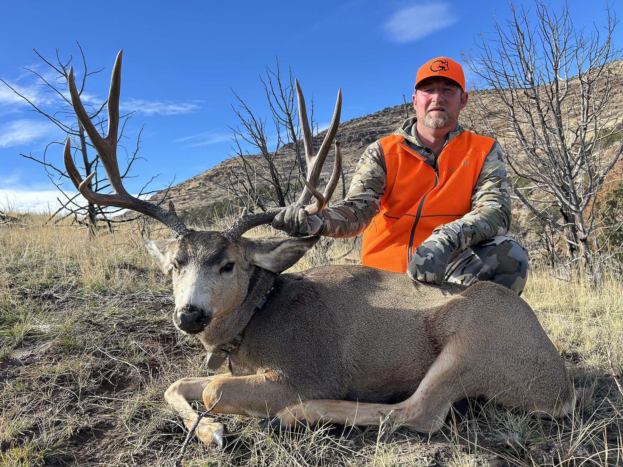Victor Rossi: Colorado Mule Deer Hunt Report » ⭐⭐⭐⭐⭐